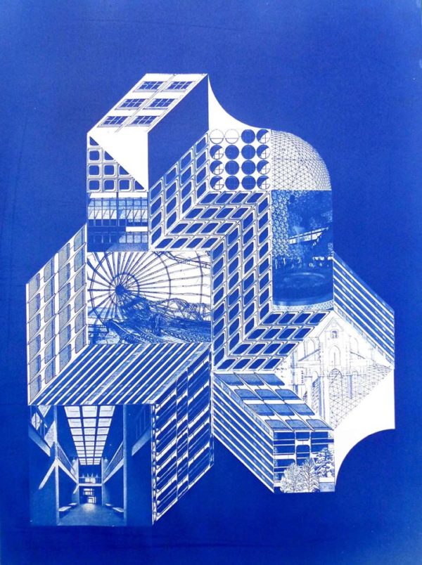 Expo Cyanotypes Macula Nigra - Les Grands Gamins